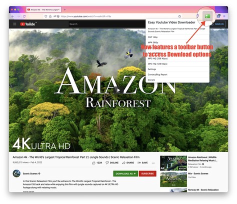 Easy Youtube Video Downloader For Opera Extension Opera MySkip