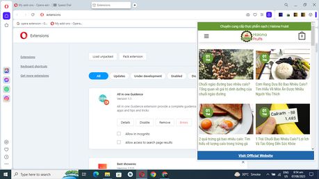 Halona Fruits extension - Opera add-ons