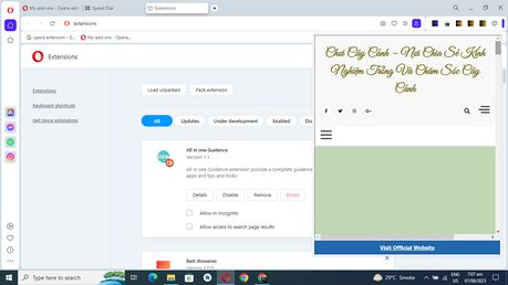 Extensão Play Bonsai - Complementos do Opera