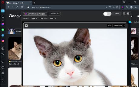 Image Downloader extension - Opera add-ons