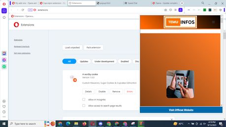 Extensión Temuinfos Extension - Complementos de Opera