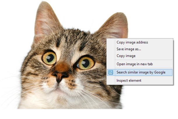 Image Searcher extension - Opera add-ons