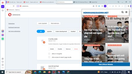 Extensão honnhanvagiadinh - Complementos do Opera