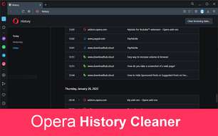 History Cleaner for Opera extension - Opera add-ons