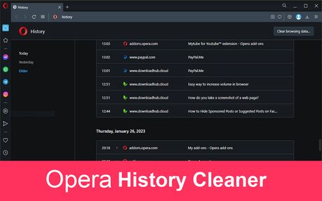 History Cleaner for Opera extension - Opera add-ons