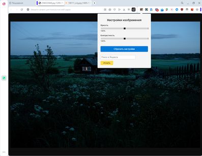 Extensão Image & Video Adjuster - Complementos do Opera