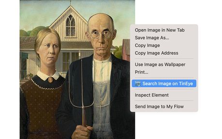 TinEye Reverse Image Search extension - Opera add-ons