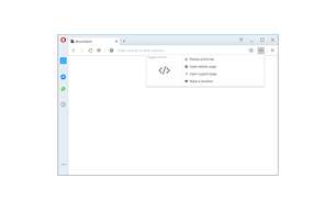 Custom Style Script extension - Opera add-ons