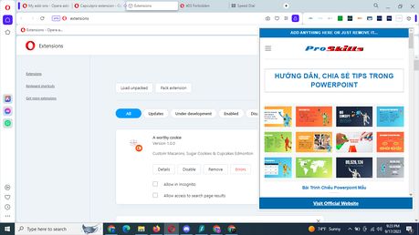 Extensão ProSkills - Complementos do Opera