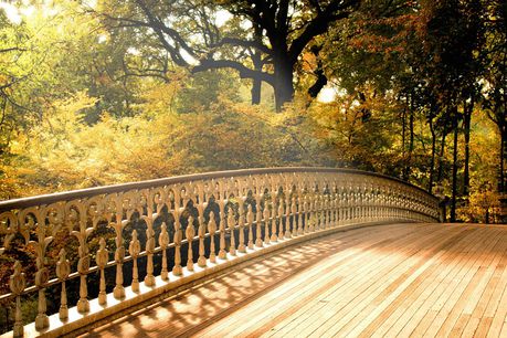 Nature Bridge wallpaper - Opera add-ons