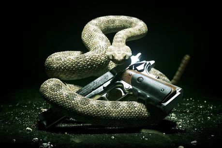 hitman absolution snake wallpaper