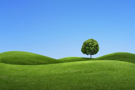green wallpaper - Opera add-ons