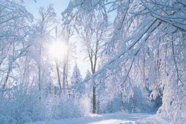 Winter wallpaper - Opera add-ons