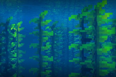 Kelp Minecraft