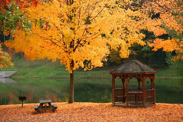 The Autumn's Silent wallpaper - Opera add-ons